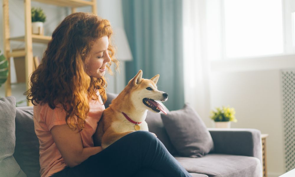 4 Dog-Sitting Tips Every Beginner Should Know