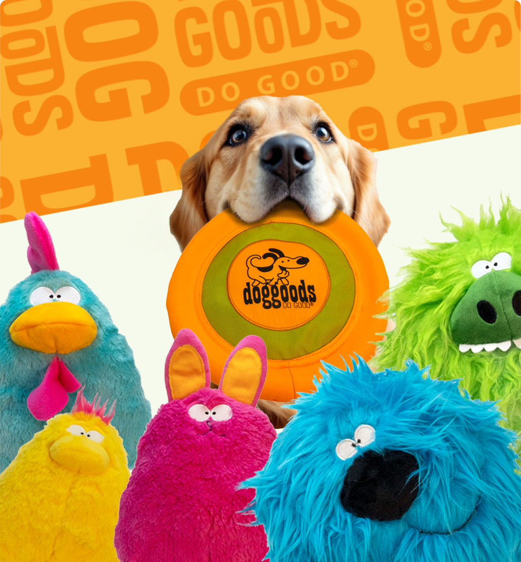 Squeaky Travel Dog Toys | Shop DogGoods™